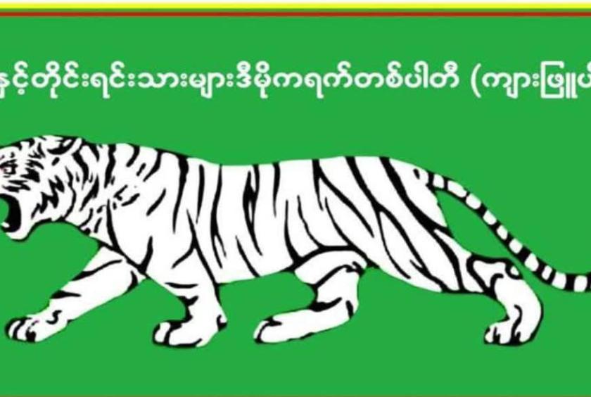 White Tiger Party wins eight seats in five Shan State Townships after ...
