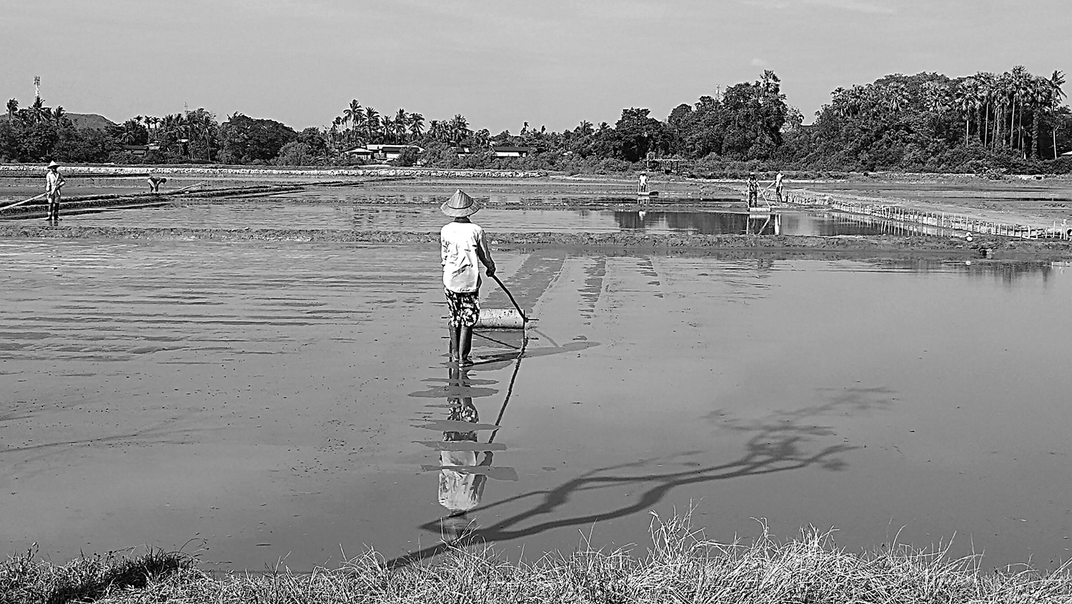 Mon State makes double salt production | Eleven Media Group Co., Ltd