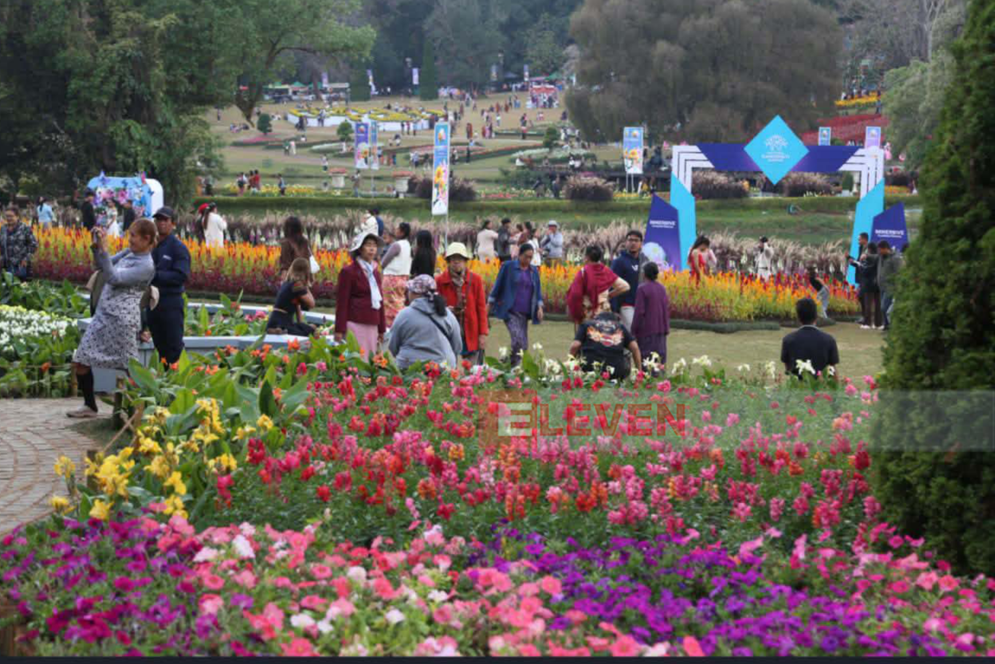Around 60,000 people visit 18th Immersive Flowers Festival in ...