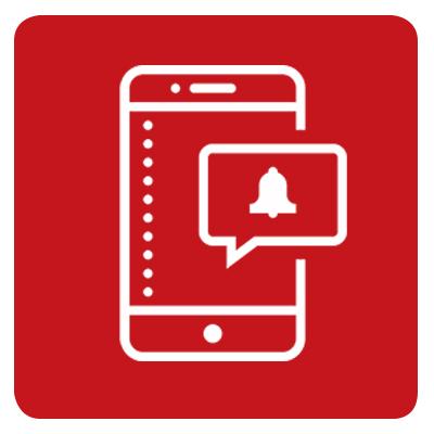 Subscriptions | Eleven Media Group Co., Ltd