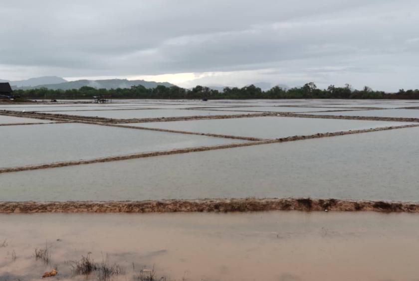 Farmers face salt shortage despite record price of K1,000 per viss ...